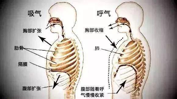 唱歌是练肺还是伤肺