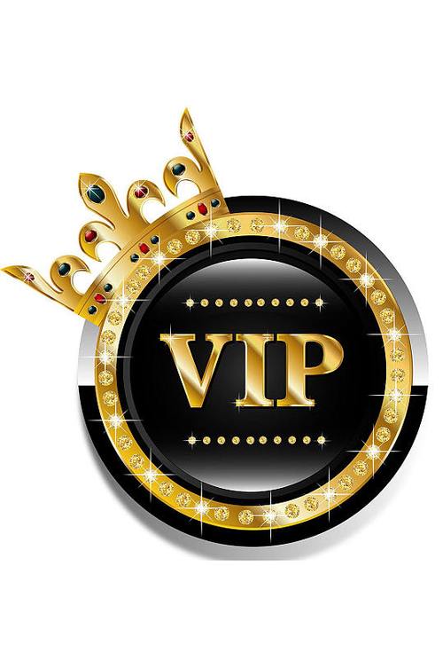 VIP标志截图
