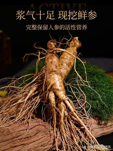 人参放了快20年能吃吗