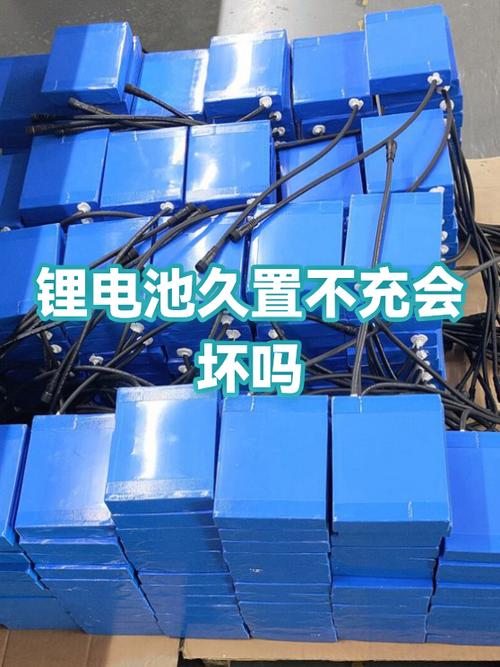 锂电池放一个月会坏吗图标