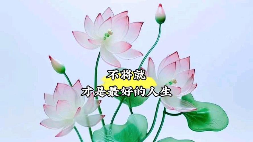 夜听人生感悟文章图标