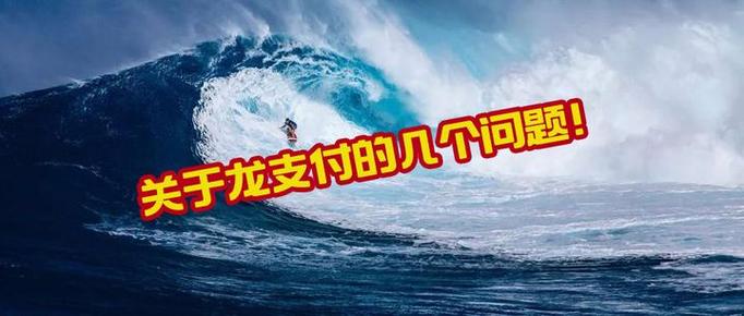 龙支付被国家打击了吗知乎截图