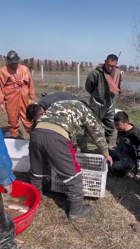 水泵抽水抓鱼图标