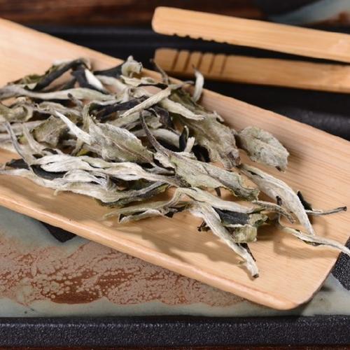 白茶月光白正确泡法图标