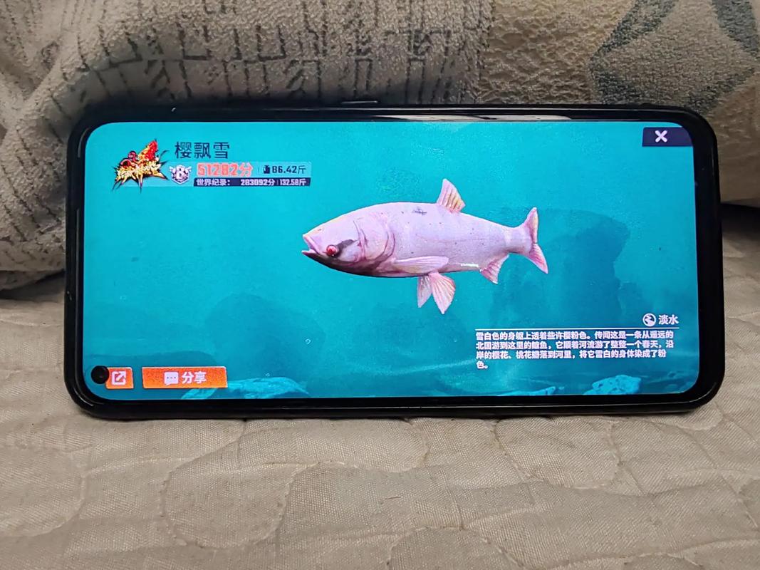 2024年国家钓鱼大师图标