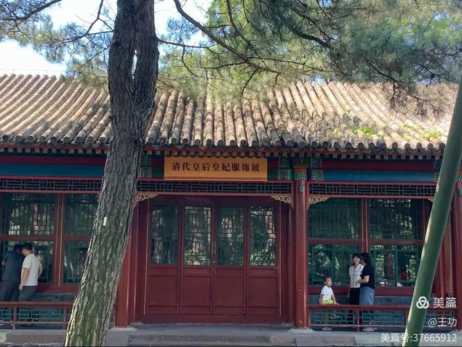 青莲书屋图标