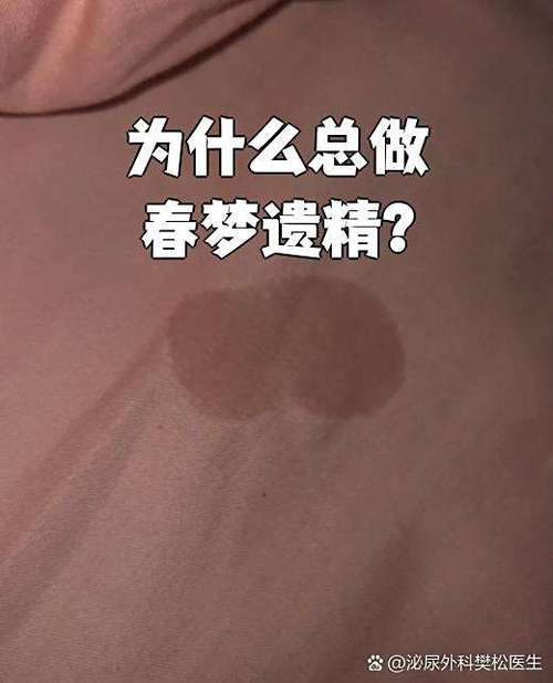 白日春梦图标