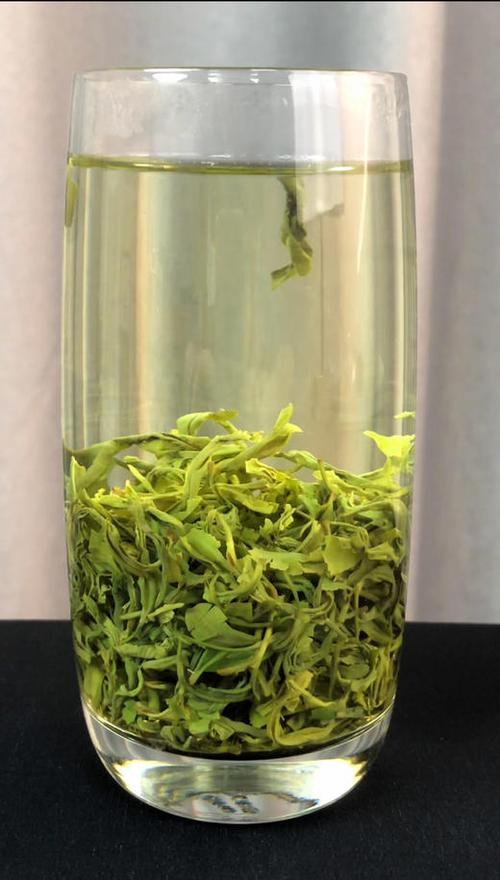 绿茶图标