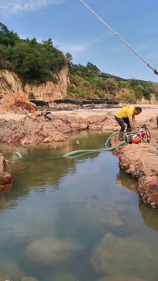 赶海水泵抽水逮鱼视频