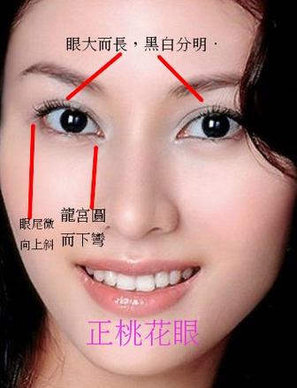 在线看面相图标