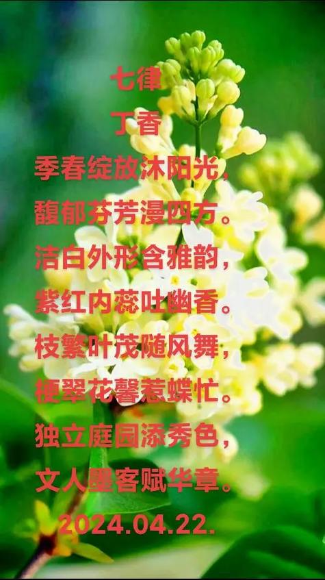 丁香花七绝诗图标