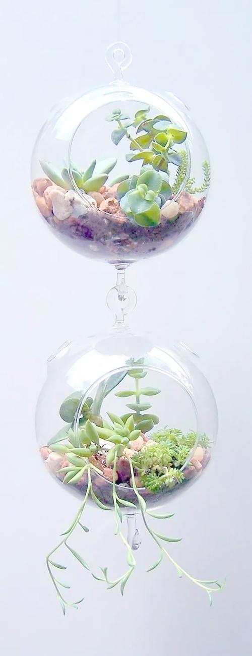 空玻璃瓶的100种用处截图