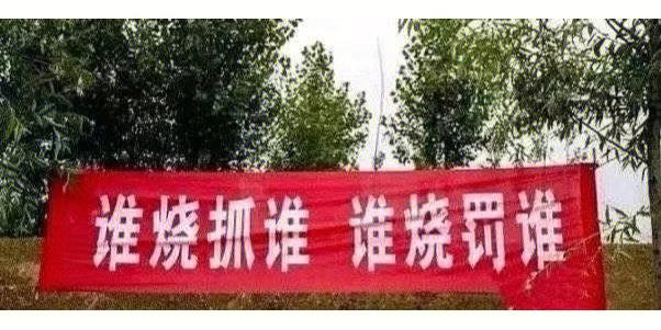 301网络用语暗示什么图标