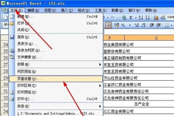 表格打印预览只有一半图标