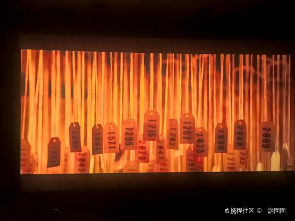 国泰电影院最近排片表图标