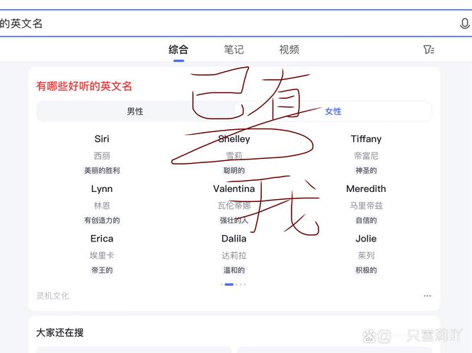 investigate的翻译图标