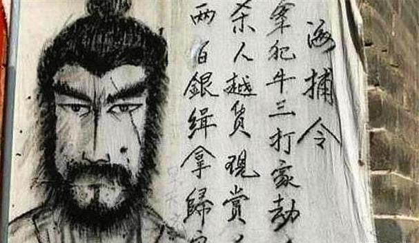 江洋大盗|∨K截图