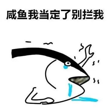 不让别人看我的咸鱼图标