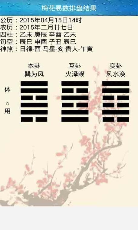 梅花易数占卜app图标