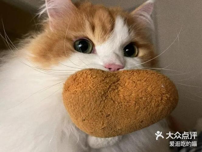 萌喵biubiu更新后叫什么图标
