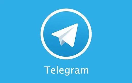 纸飞机官方网站图标