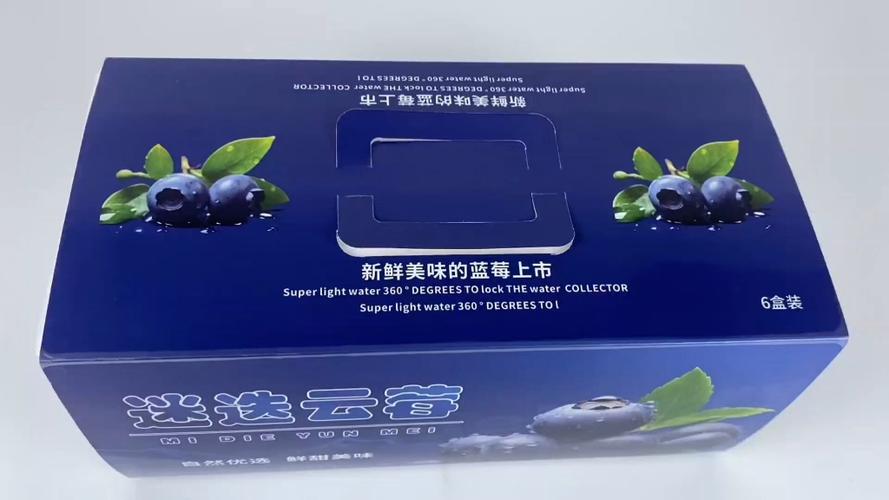 蓝莓包装设计图标