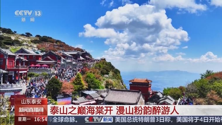 山东泰山队今晚比赛直播图标