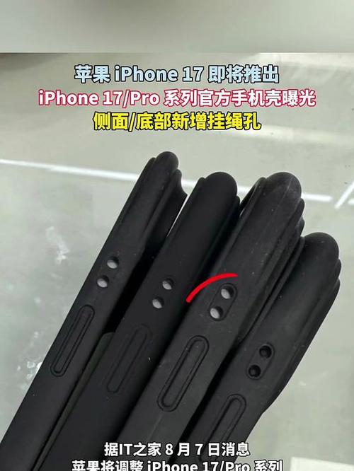 苹果手机的手机壳上的挂绳挂哪截图