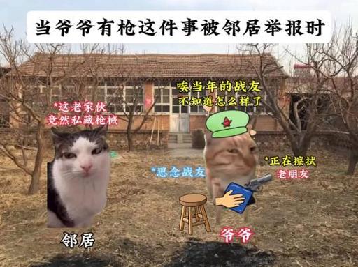 爷爷帮我做枪描写截图