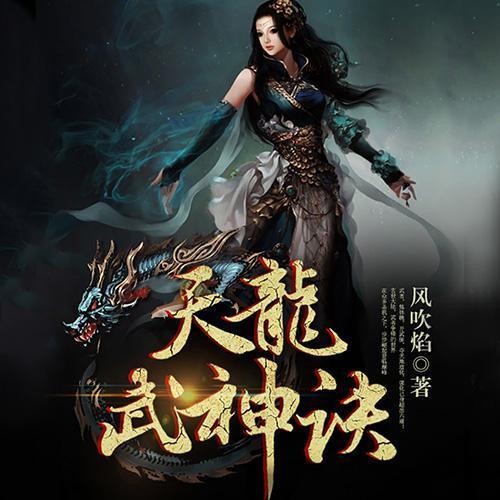 天龙武神诀龙浩有几个女人图标