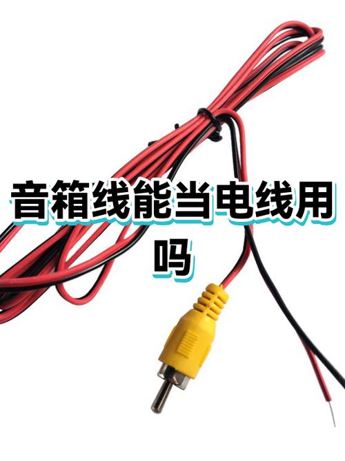 音箱线可以当电线用吗图标