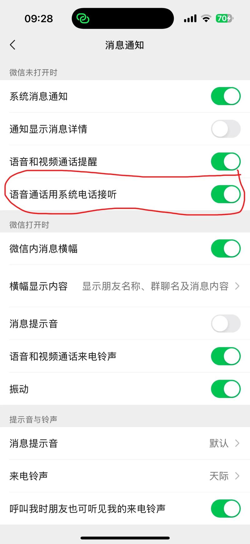 语音接电话设置在哪里图标