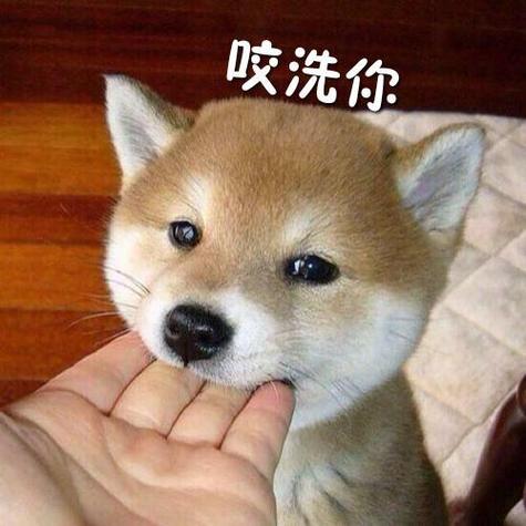 一口咬住脸的表情包图标