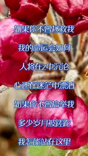 人生如果没有你歌曲原唱歌词歌谱图标