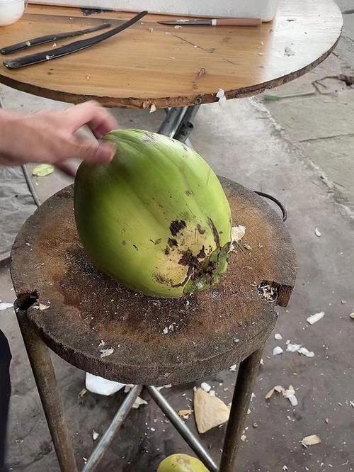 打开椰子视频图标