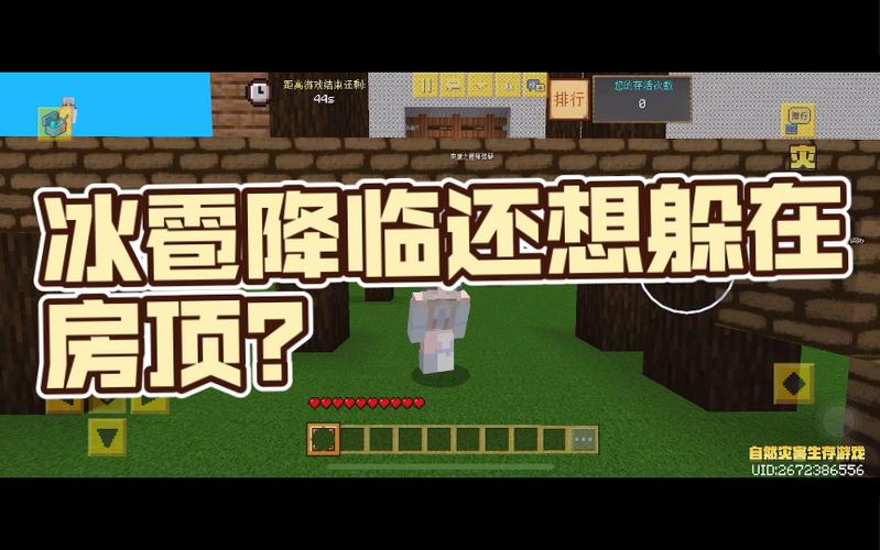 我的世界冰雹图标