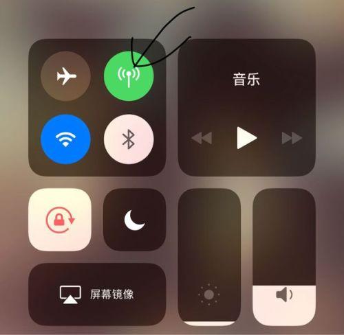 苹果6splus流量设置在哪里