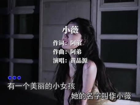 小薇这首歌是哪一年的图标