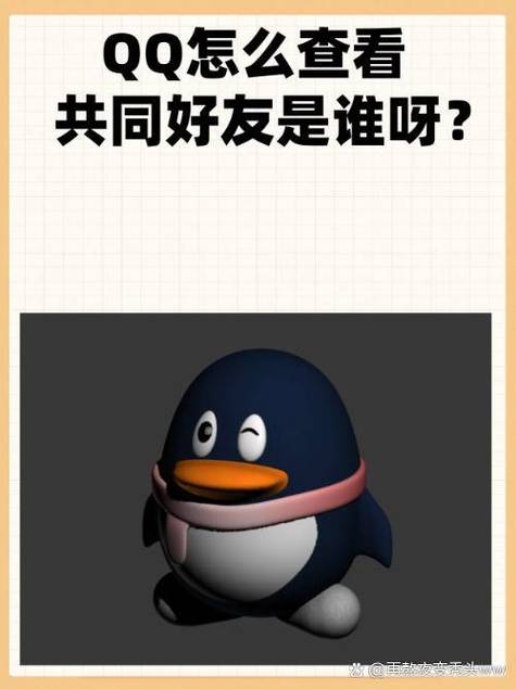qq怎么显示好友标识截图