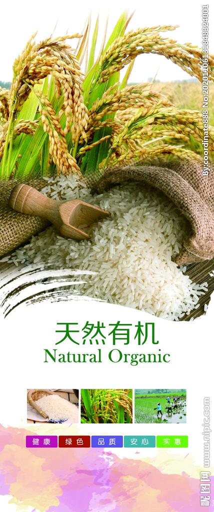 现在有新米上市吗