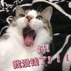 向妈妈要钱表情包一套图标