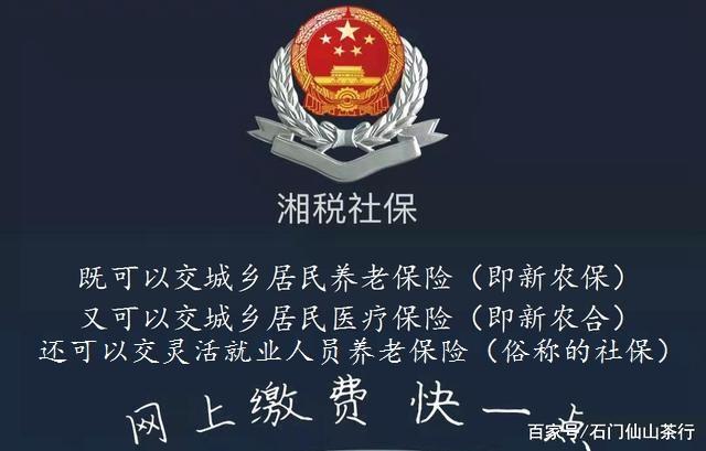 湘税社保养老保险图标