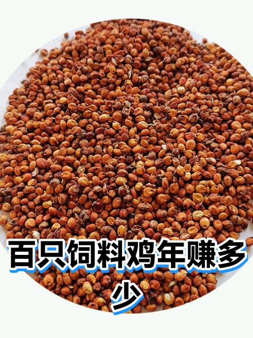 当鸡一个月可以赚多少钱图标