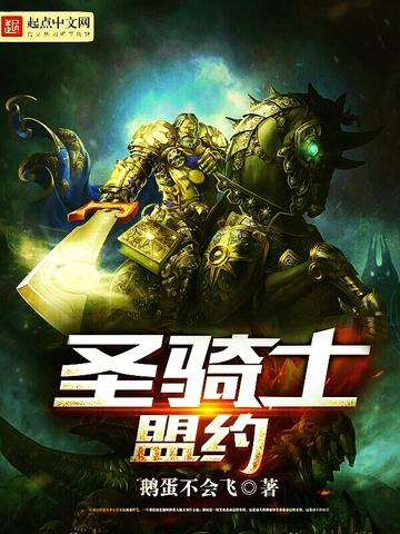 圣骑士盟约图标