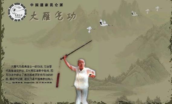 大雁功全套功法视频讲解图标