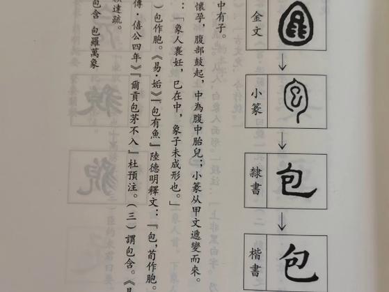 包字甲骨文图标