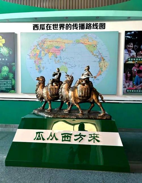 西瓜历史缩略图