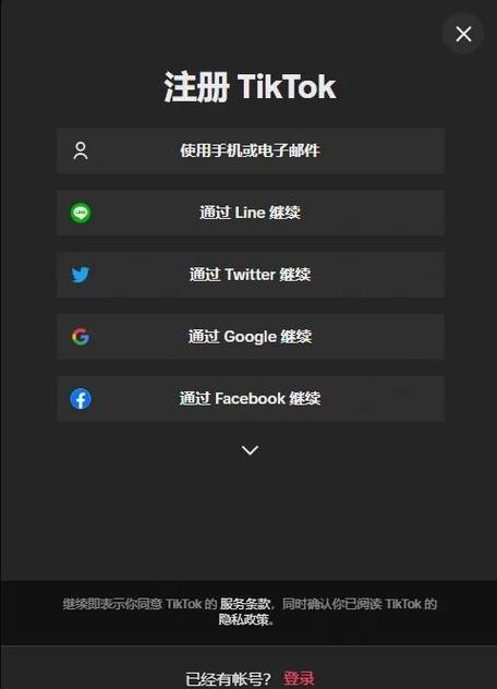 tiktok网页版怎么进图标