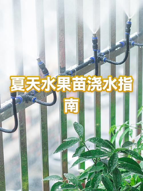 免费浇水种水果的有什么平台截图