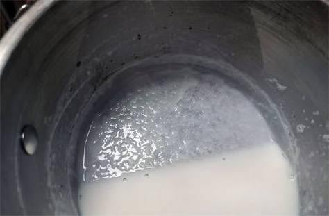 煮牛奶煮出白色絮状物图标